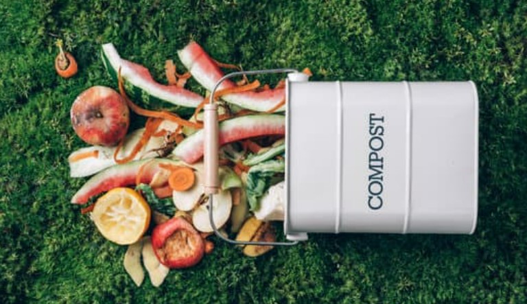 What Is Green Waste and How to Get Rid of It? | London Rubbish Removal