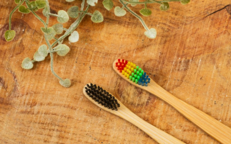 The Best Eco Friendly Alternatives for the Plastic in Your Life ...
