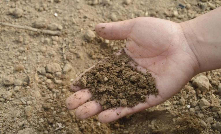 How To Dispose Of Excess Soil? | London Rubbish Removal