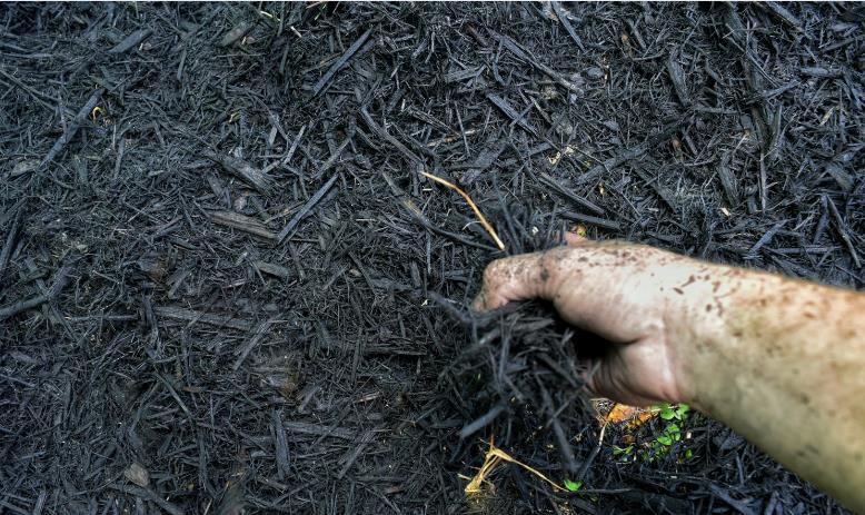 How to Dispose of Old Mulch? | London Rubbish Removal